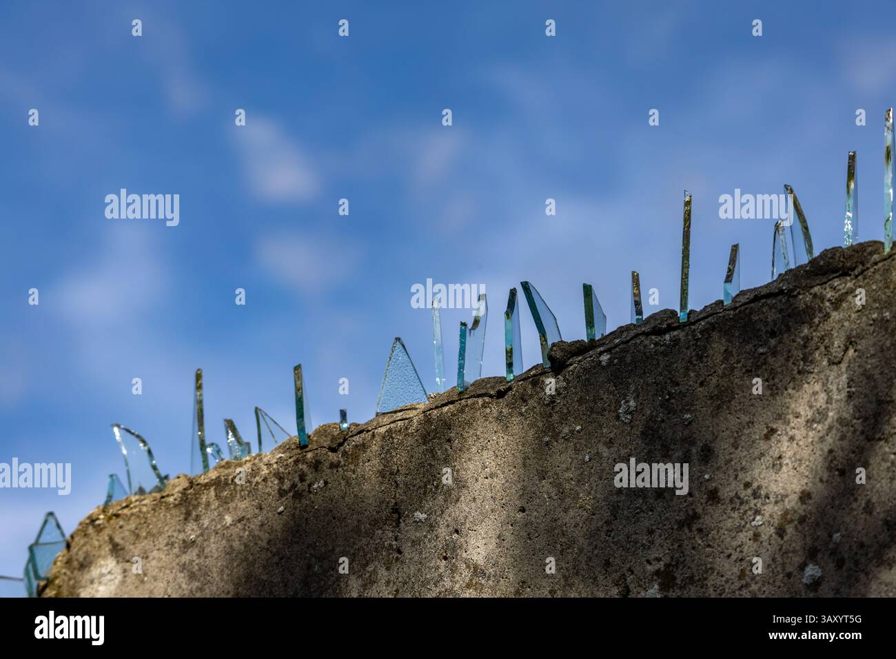 Pieces of broken glass on a concrete fence, scaring birds with broken ...
