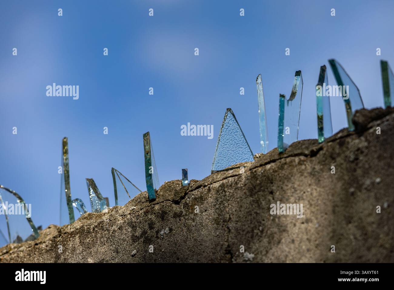 Pieces of broken glass on a concrete fence, scaring birds with broken ...