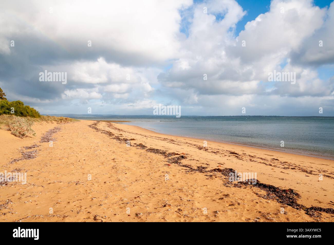 Phillip anderson hi-res stock photography and images - Alamy