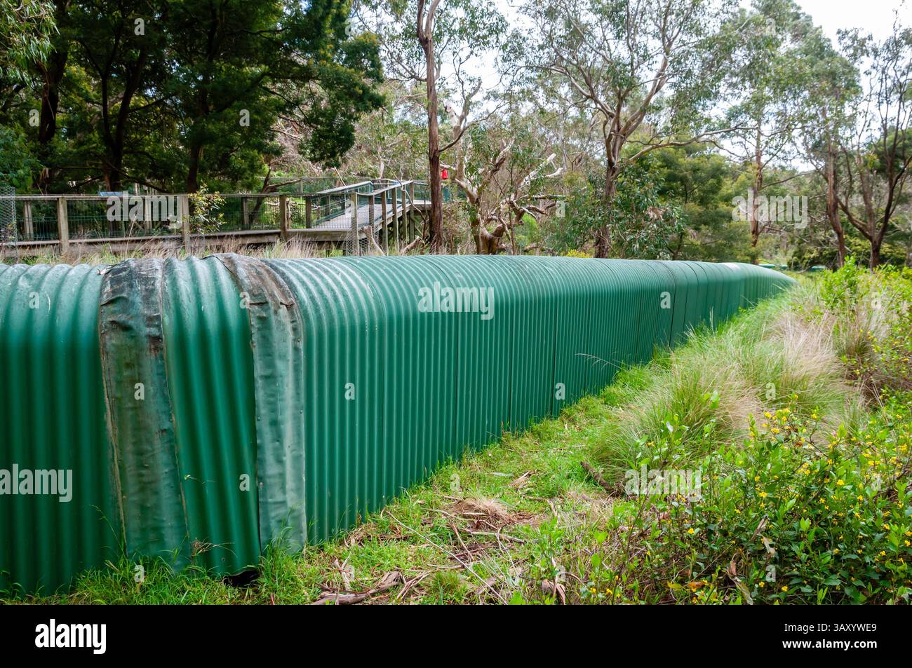 safety fence to prevent koalas from escaping, Koala Conservation ...