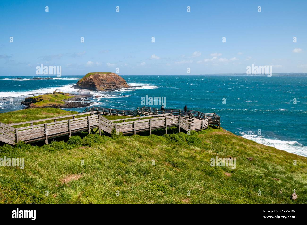 wooden walkway, and scenic view of Bass strait, Nobbies Center, Phillip ...