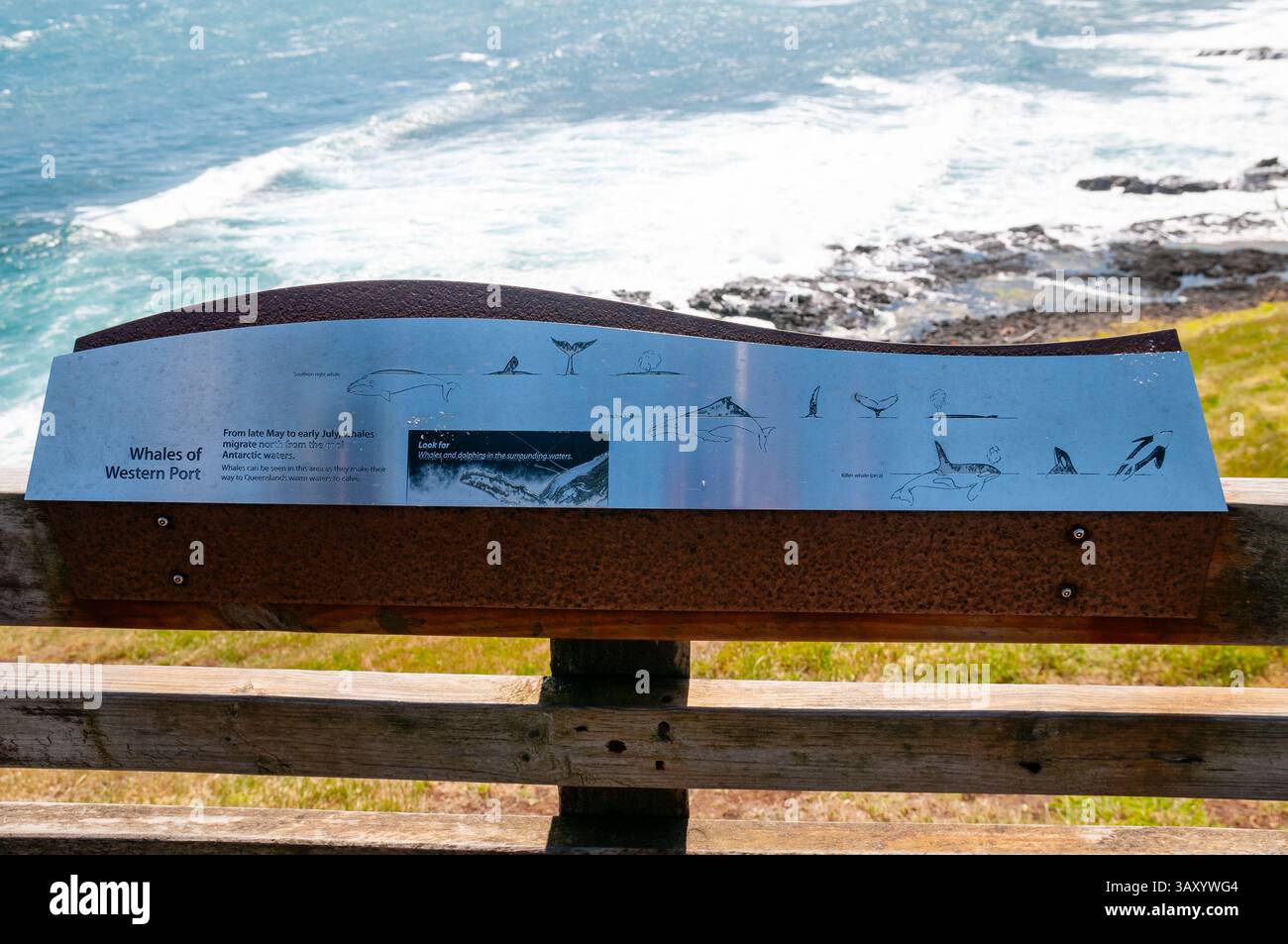 informatoin signal of whales of western port, wooden walkway, and ...