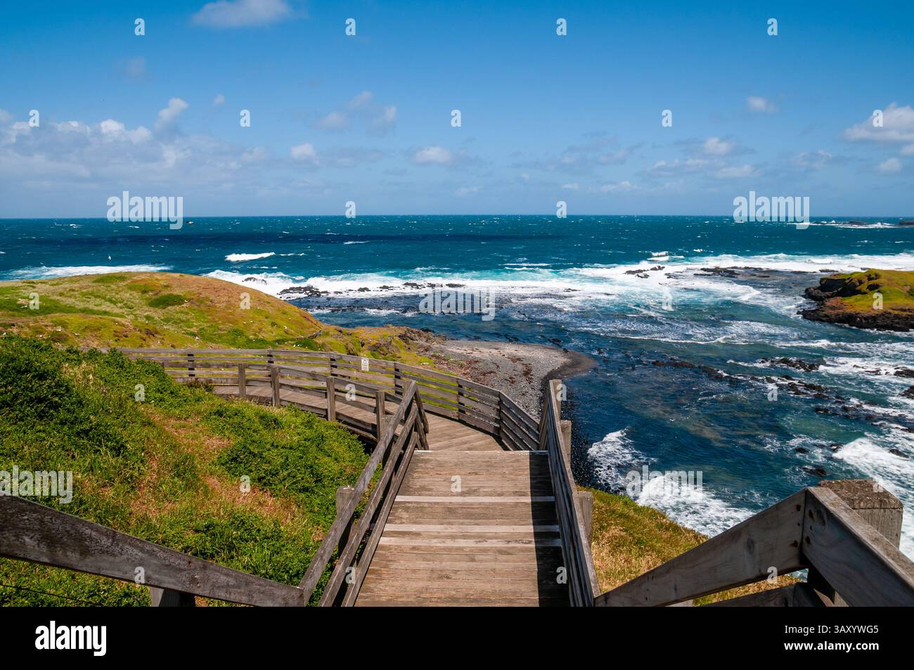 The Pre Nobbies and round island, wooden walkway,, Bass Strait, Nobbies ...