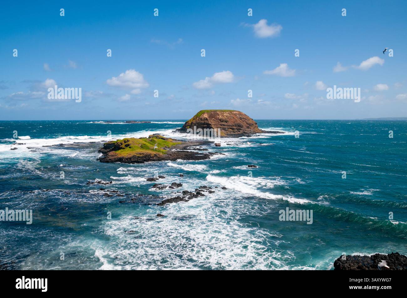The Pre Nobbies and round island, Bass Strait, Nobbies Center, Phillip ...
