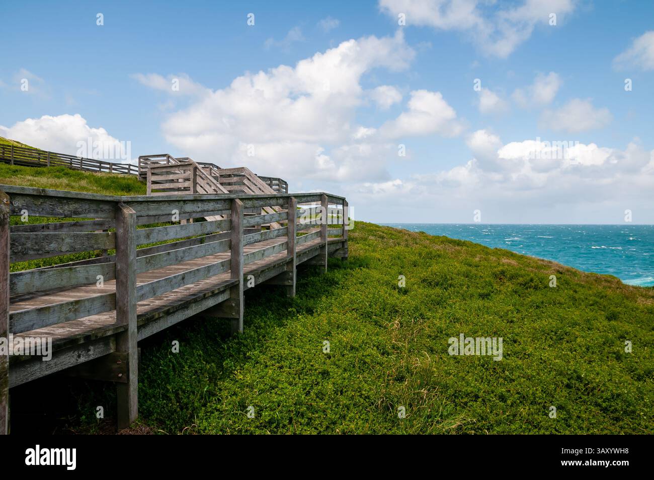wooden walkway, and scenic view of Bass strait, Nobbies Center, Phillip ...