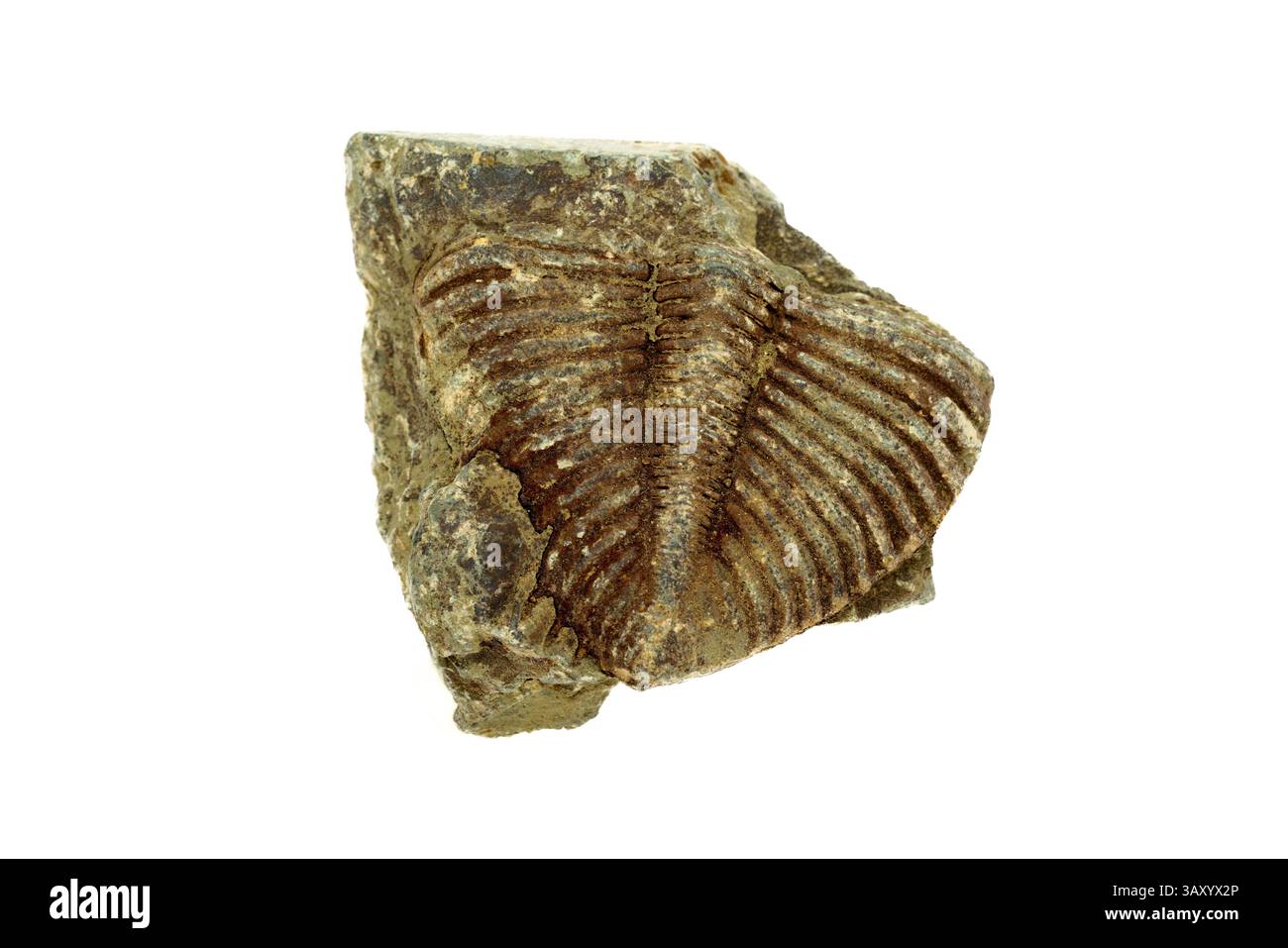 Geologyfind hi-res stock photography and images - Alamy