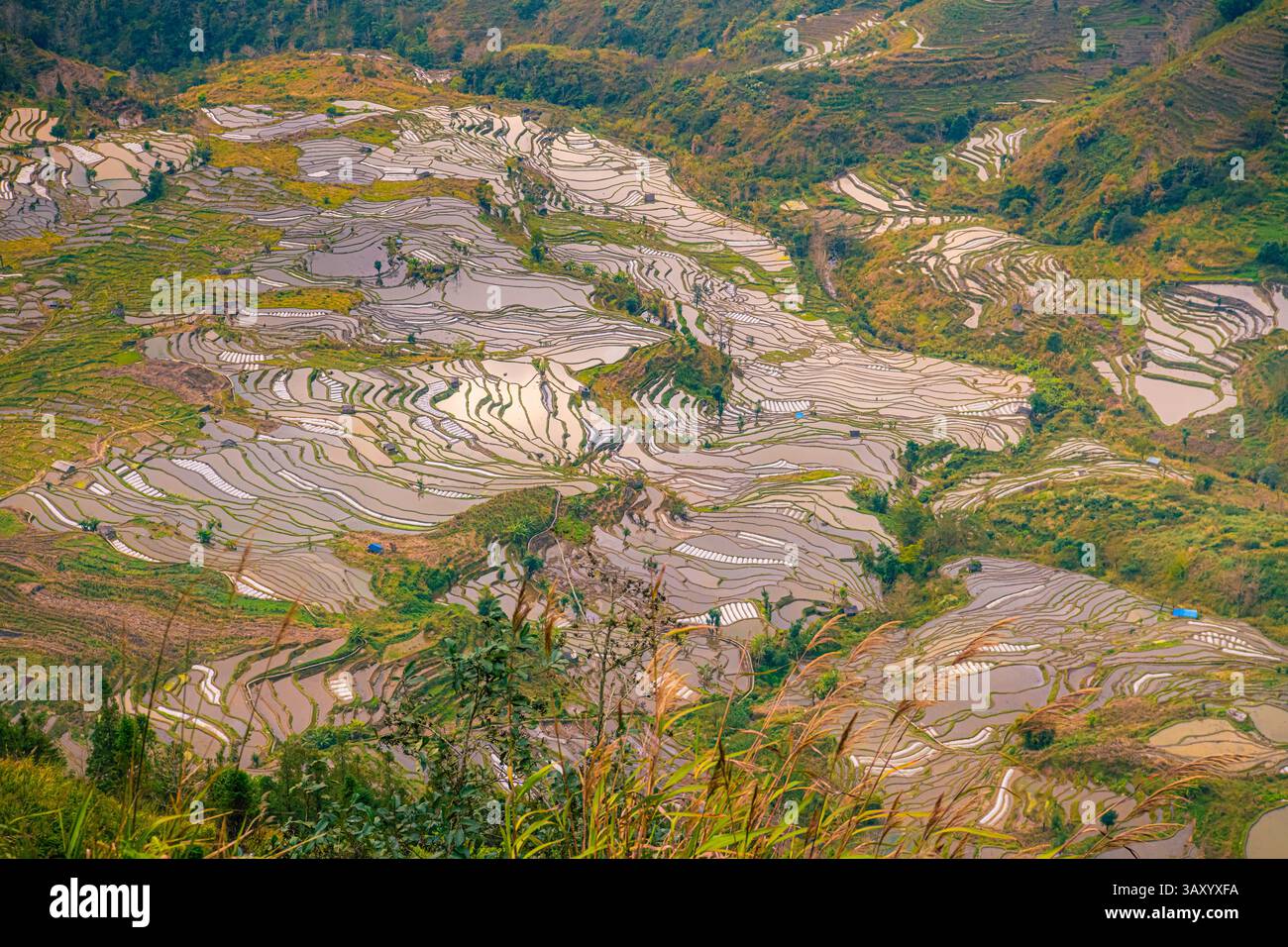 Yuanyang rice terrace from Laohuzui (the Tiger Mouth) in Yunnan ...