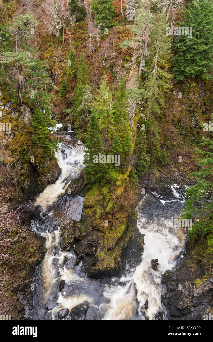 The tomich hi-res stock photography and images - Alamy