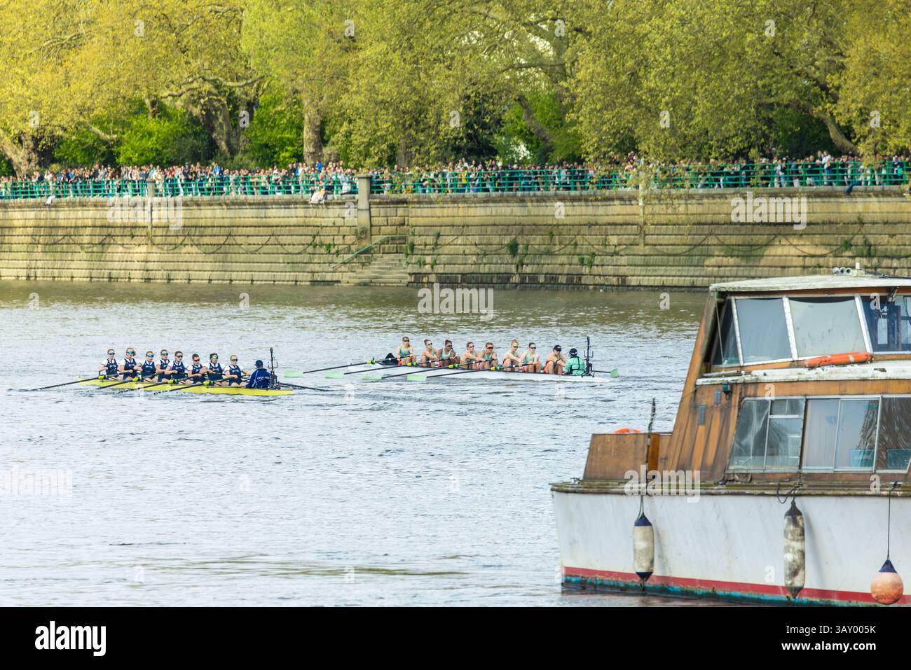 London Oxford Cambridge Boat Race Thames 2025 Stock Photo - Alamy