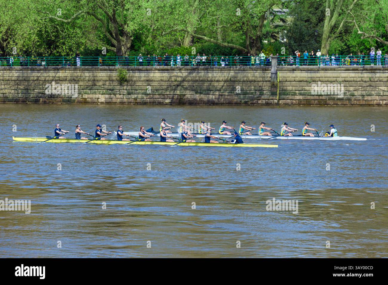 London Oxford Cambridge Boat Race Thames 2025 Stock Photo - Alamy