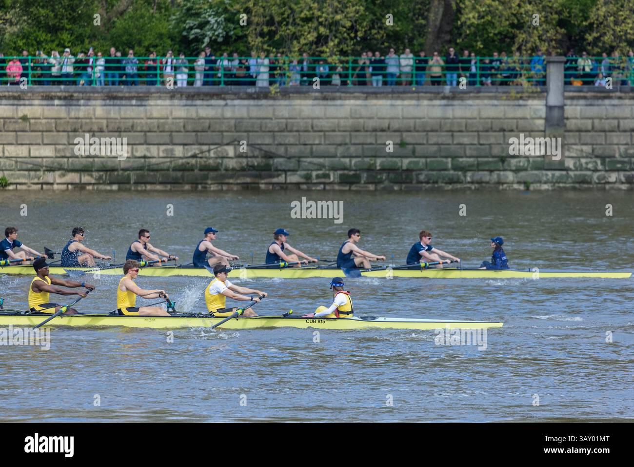 London Oxford Cambridge Boat Race Thames 2025 Stock Photo - Alamy