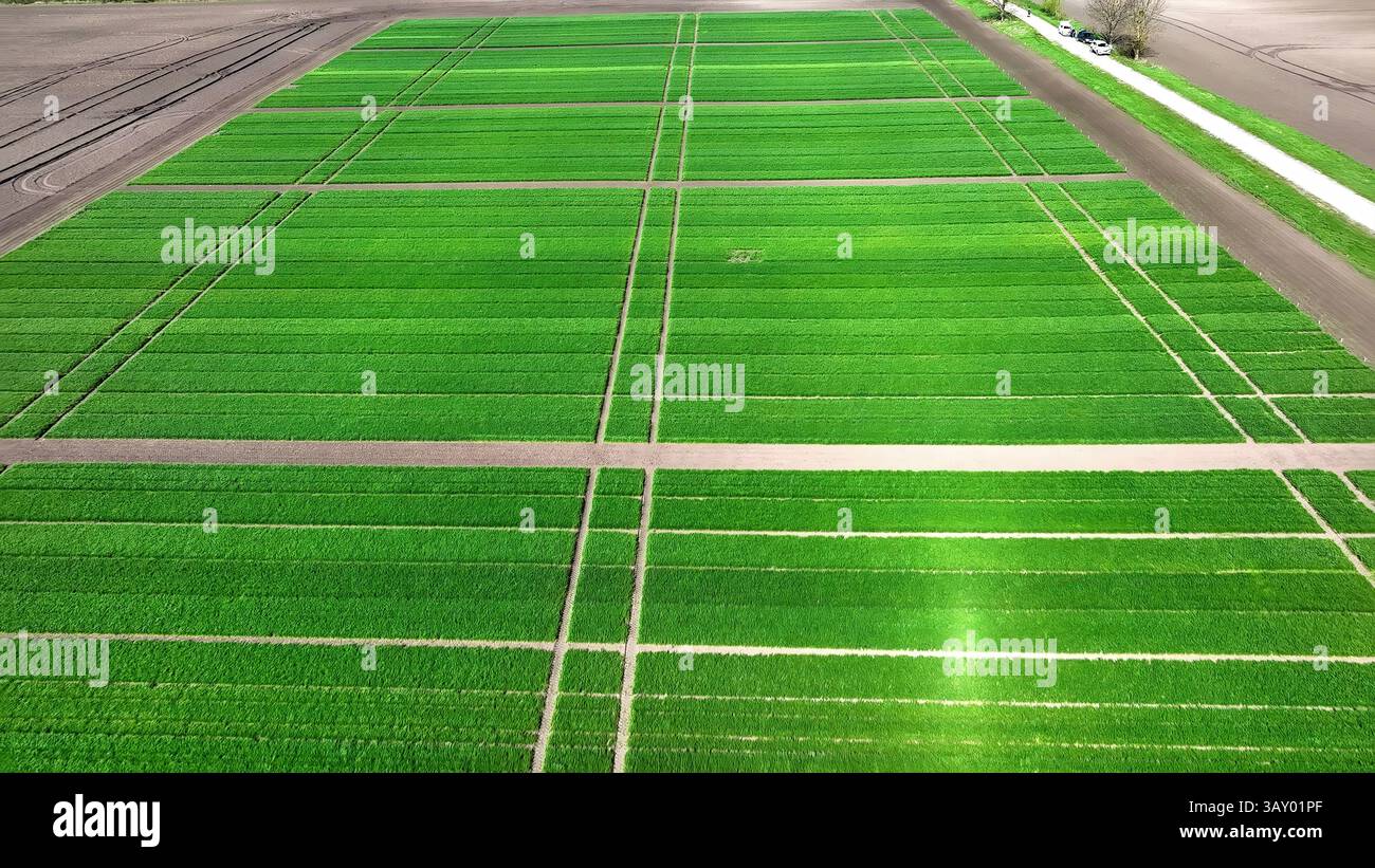 Aerial shot experimental agricultural field hi-res stock photography ...