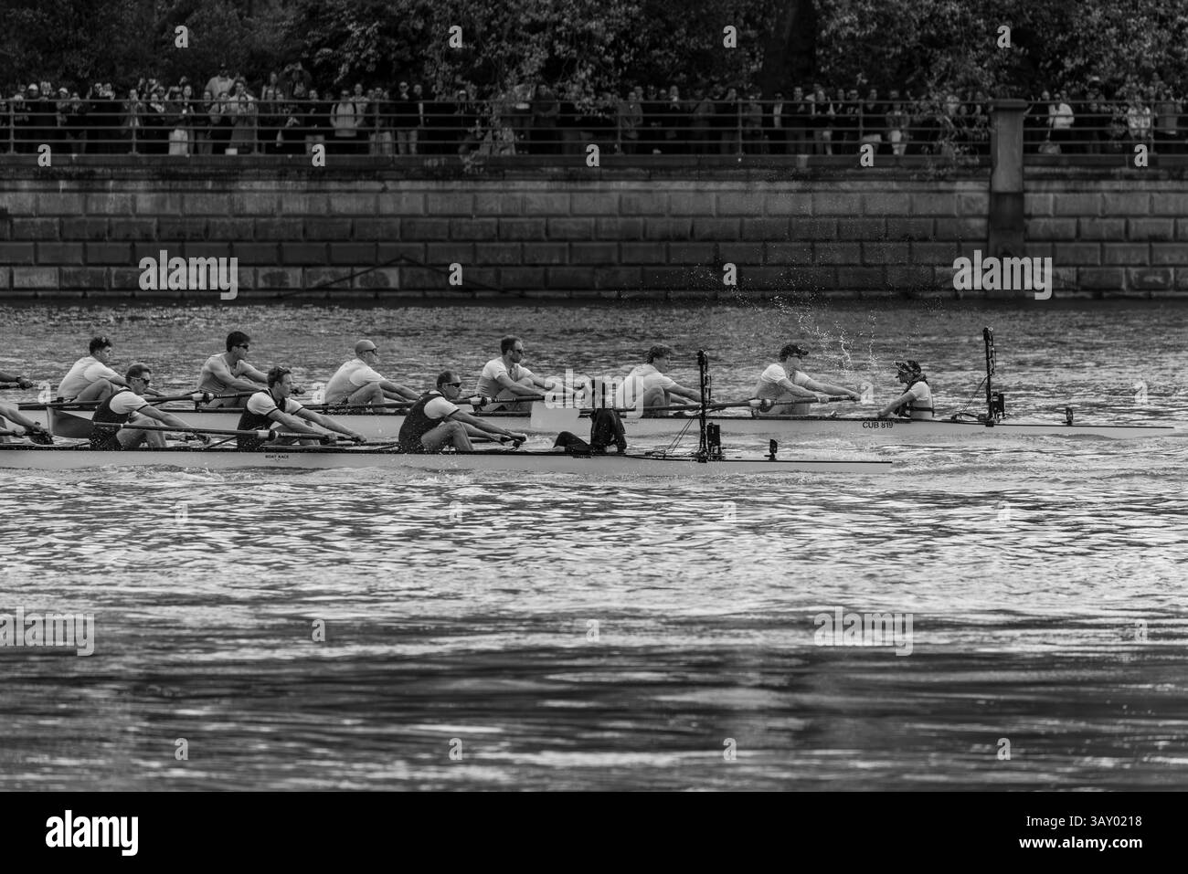London Oxford Cambridge Boat Race Thames 2025 Stock Photo - Alamy