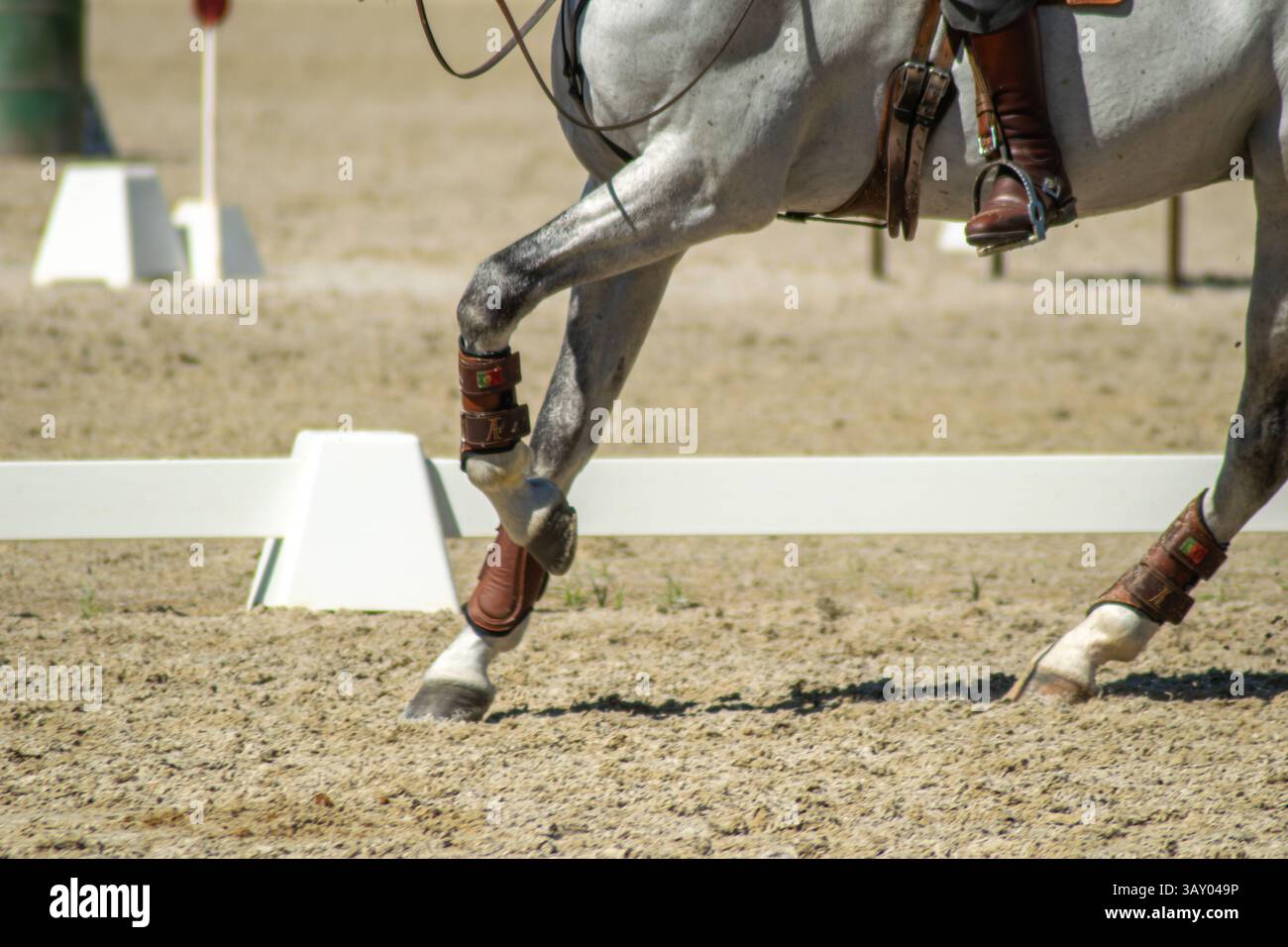 close-up of white horse legs in motion during equestrian sport Stock ...