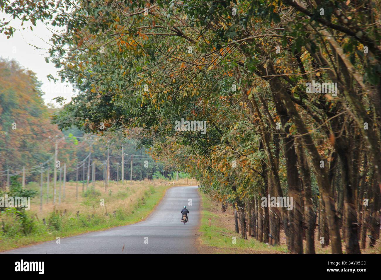 Beautiful roads slopes through hi-res stock photography and images - Alamy