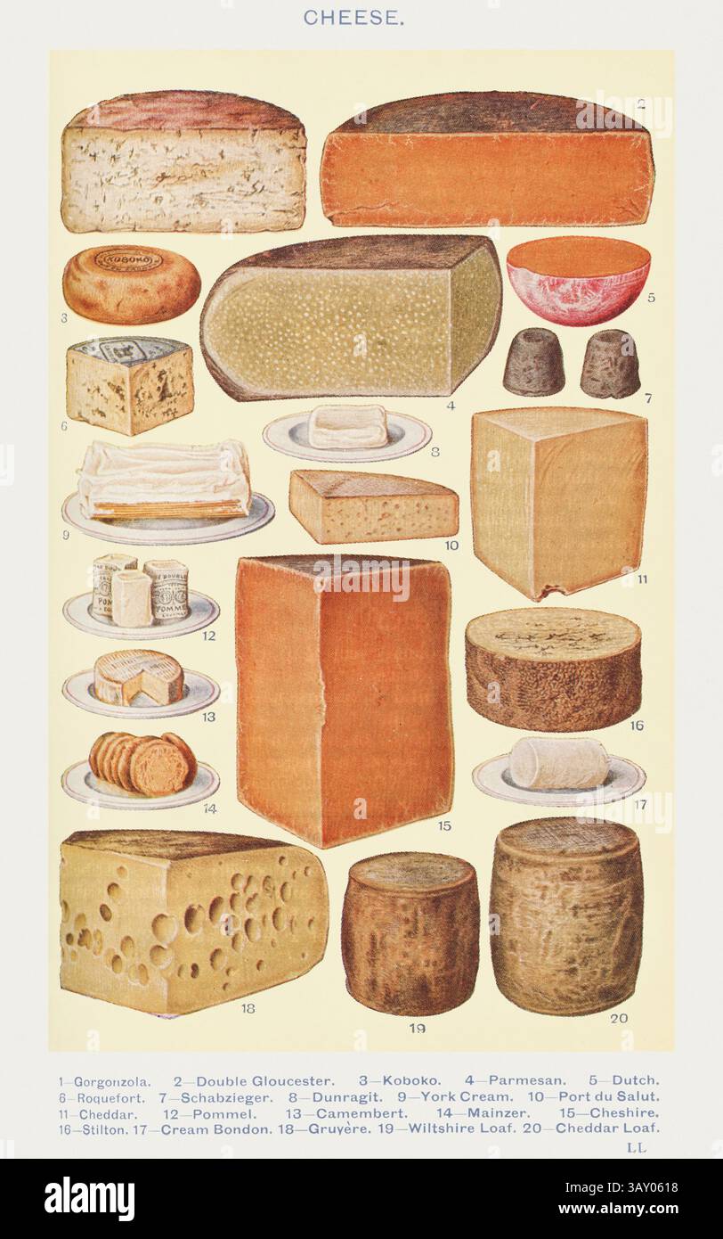 Stilton cheese vintage hi-res stock photography and images - Alamy