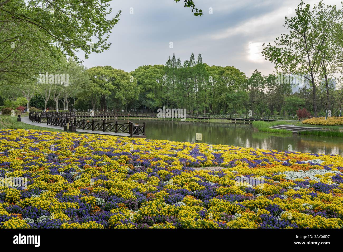 Flowers and nature forest park in Shanghai Stock Photo - Alamy