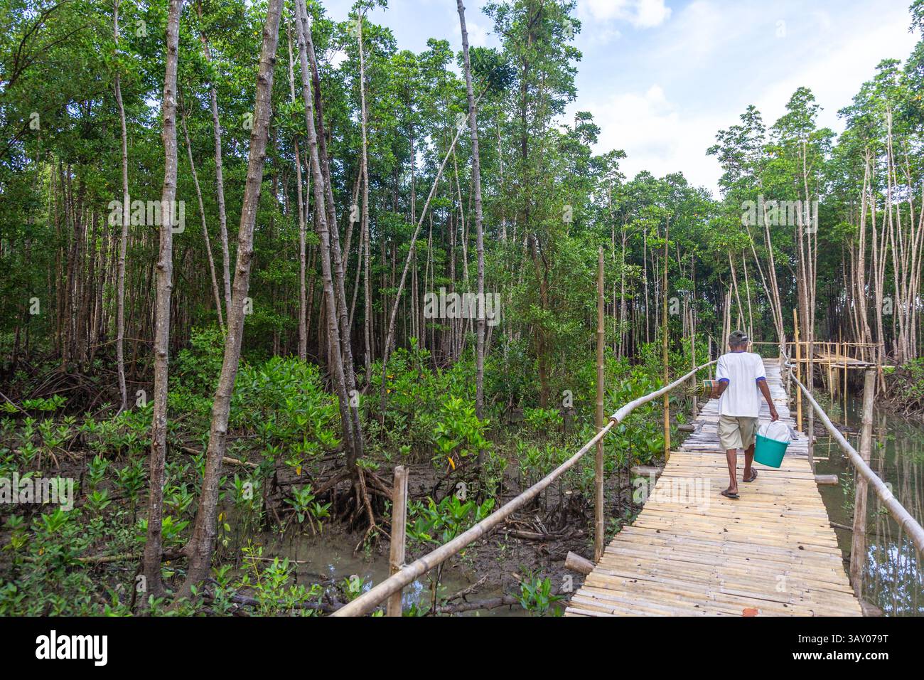 A scenic bamboo walkway winds through the lush mangrove forest of Bakhawan Ecopark in Kalibo ...