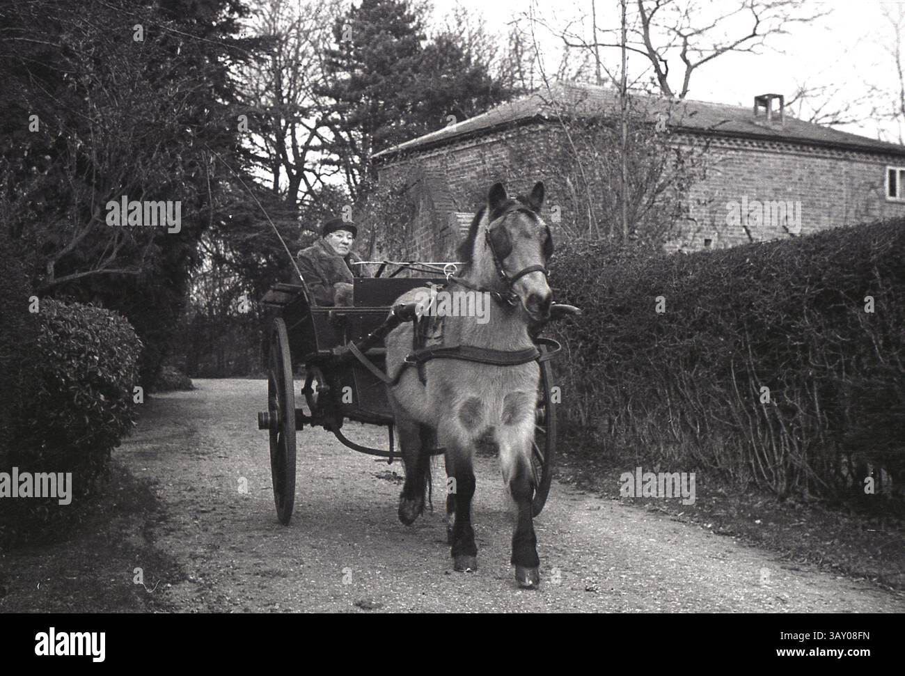 1930s, historical, riding on a pony & trap, Mrs Bowes-Lyon, mother of ...