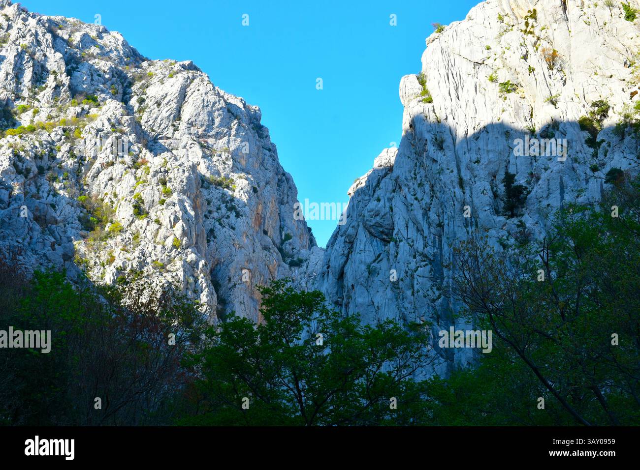 Rock cliff at the gorge in Paklenica national park, Croatia Stock Photo ...