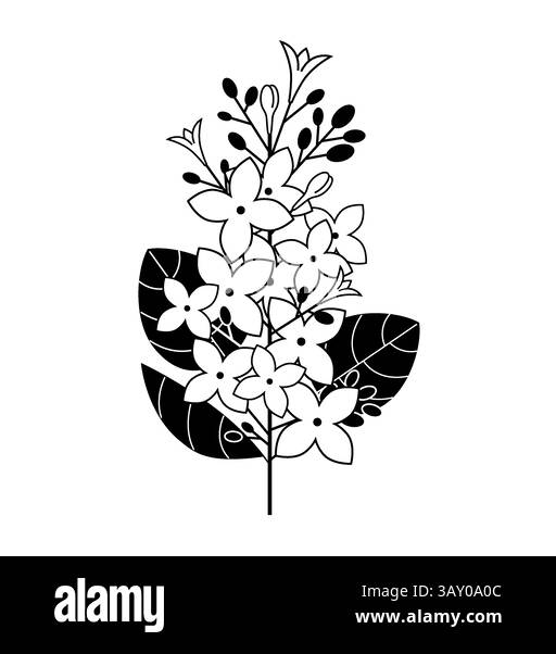 Lilac vector vectors Black and White Stock Photos & Images - Alamy