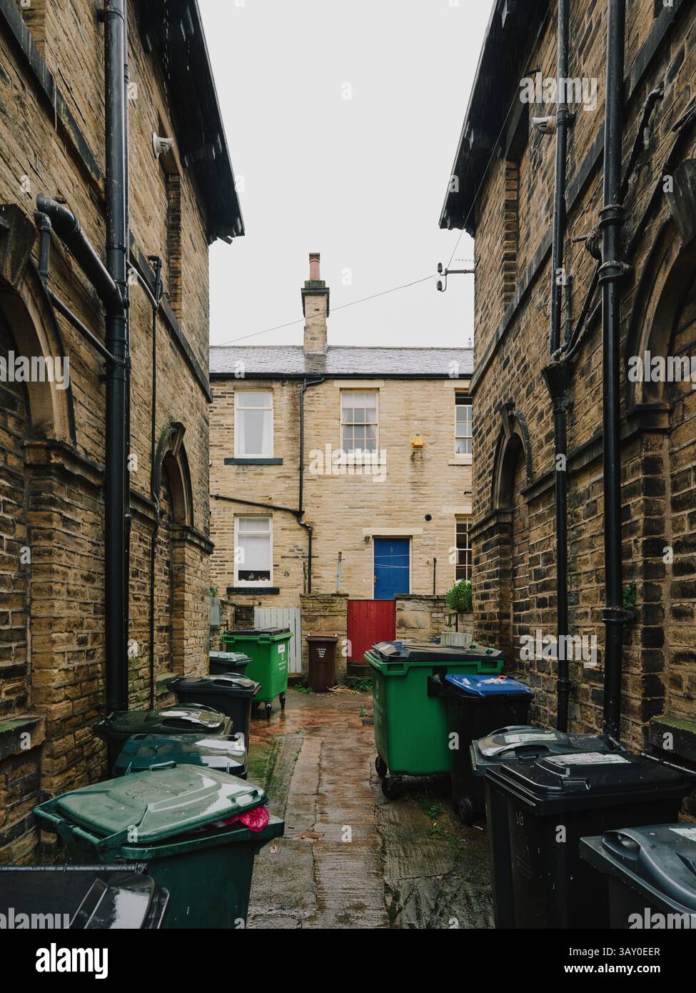 Bin Day - Domestic household waste and recycling plastic bins in ...