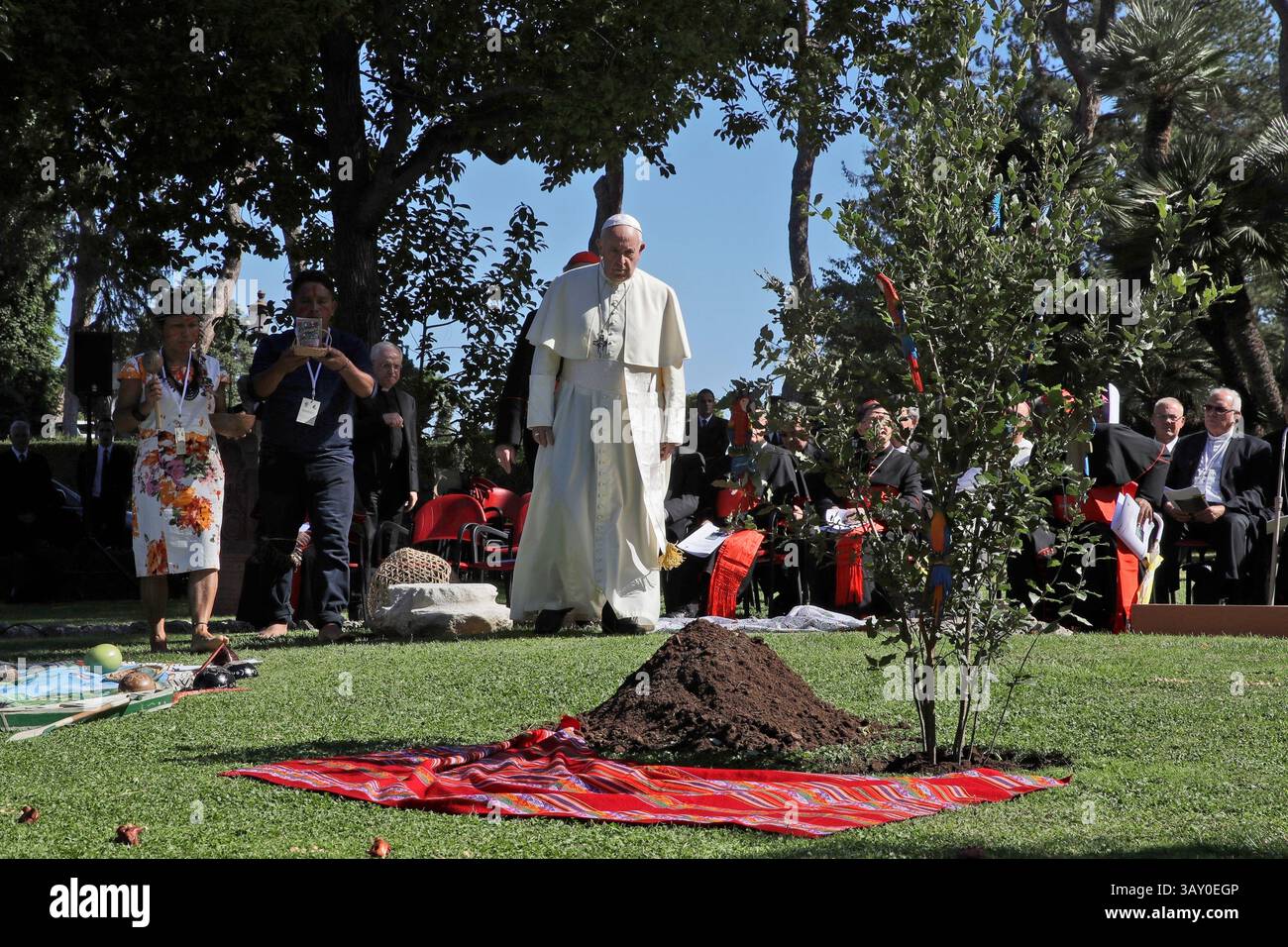 FILE - Pope Francis walks towards a newly planted oak tree during a ...