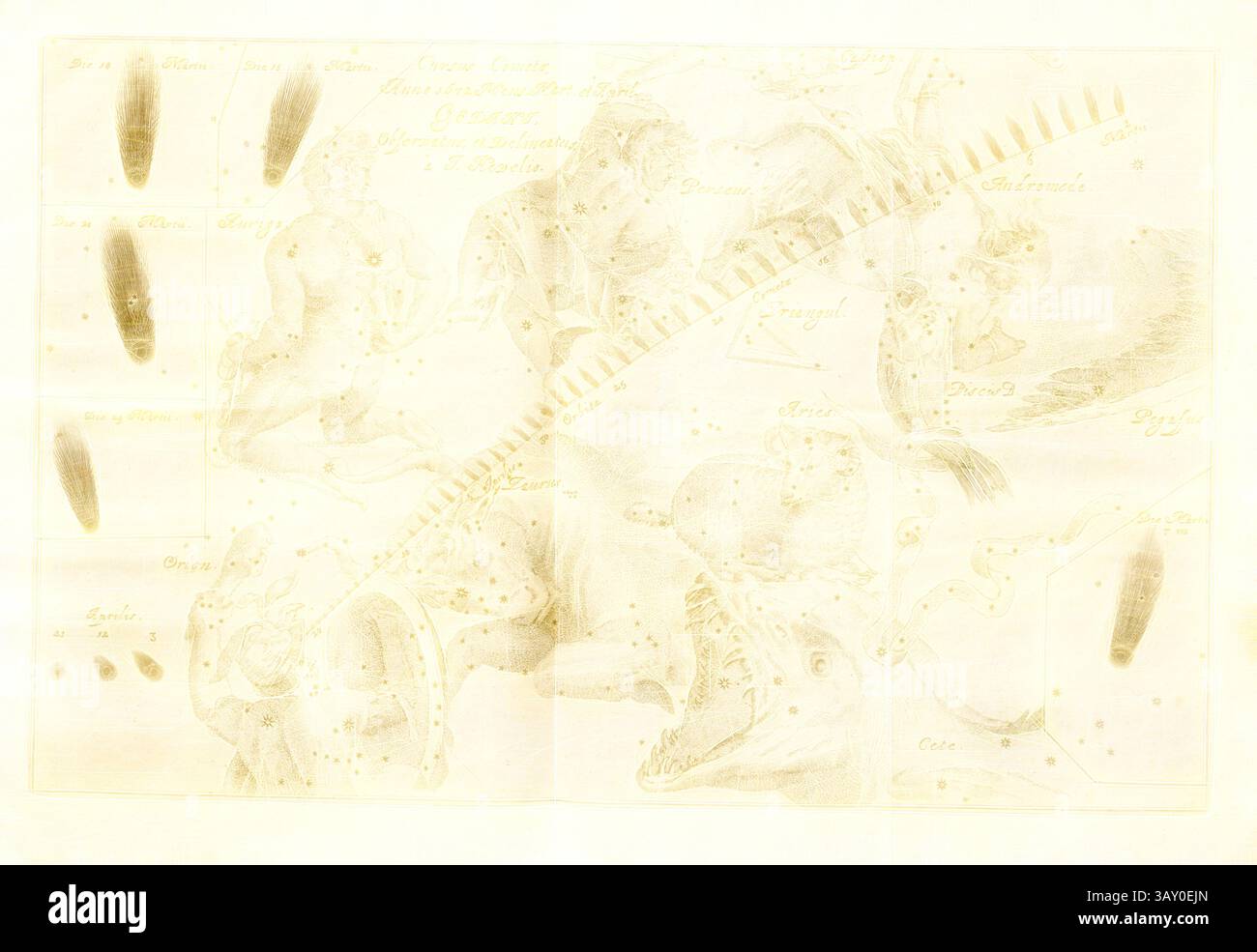 An intricate illustration of constellations, featuring various ...