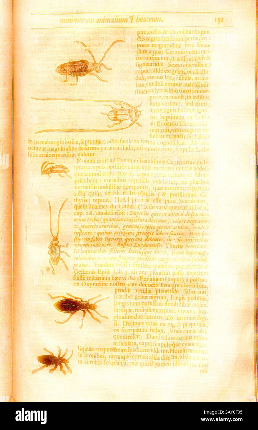 An illustrated page from an early natural history text featuring ...