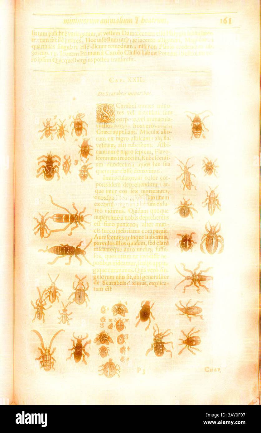 Layout features multiple rows of images hi-res stock photography and ...