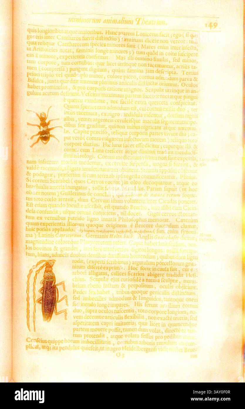 Illustrated page features detailed descriptions of insects hi-res stock ...