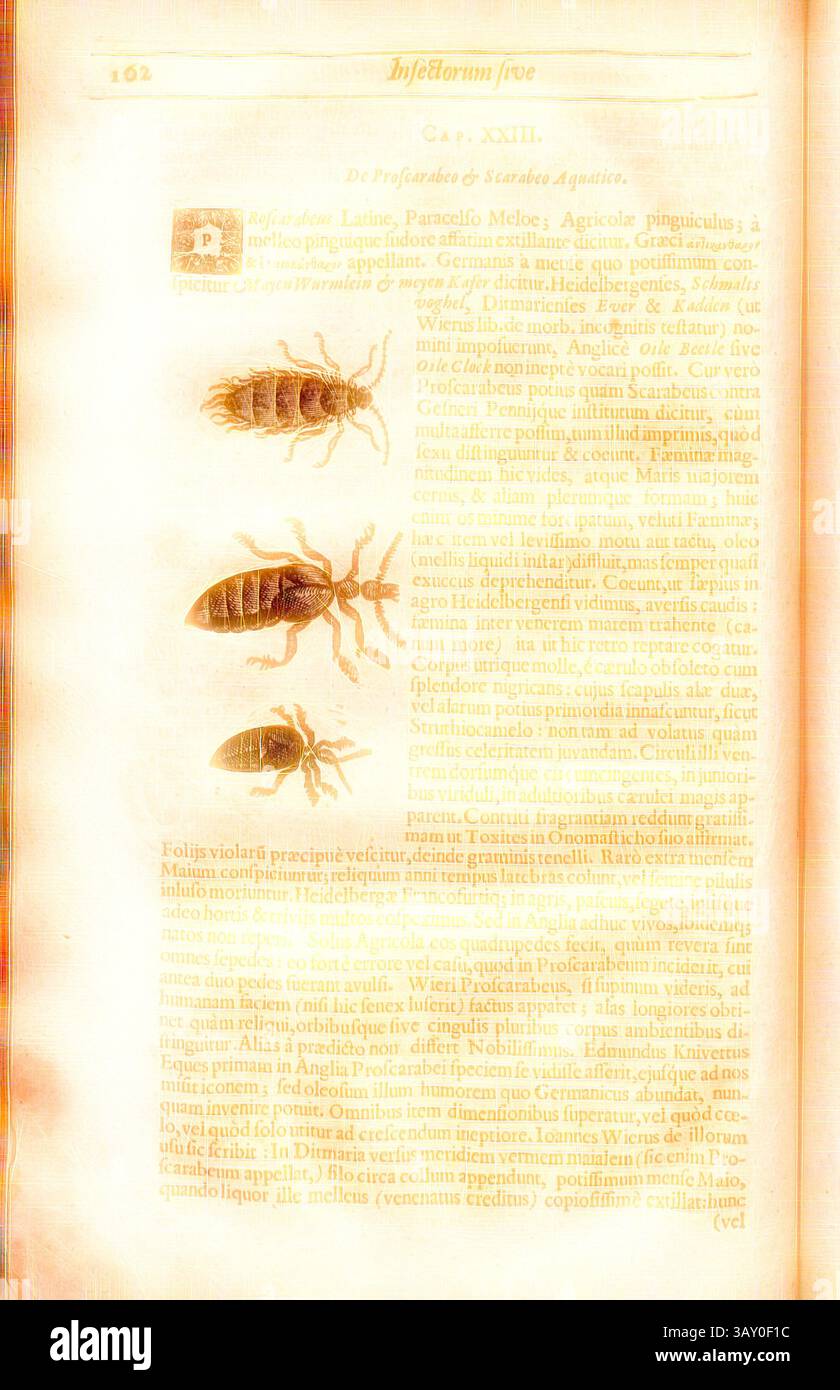 An illustration features three detailed depictions of insects ...