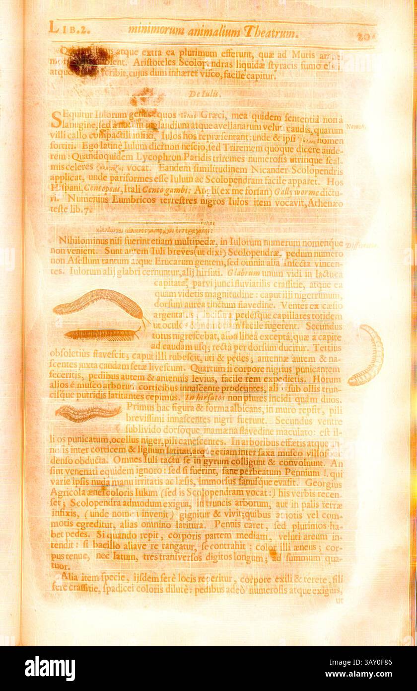 An ancient page filled with text from a historical manuscript ...