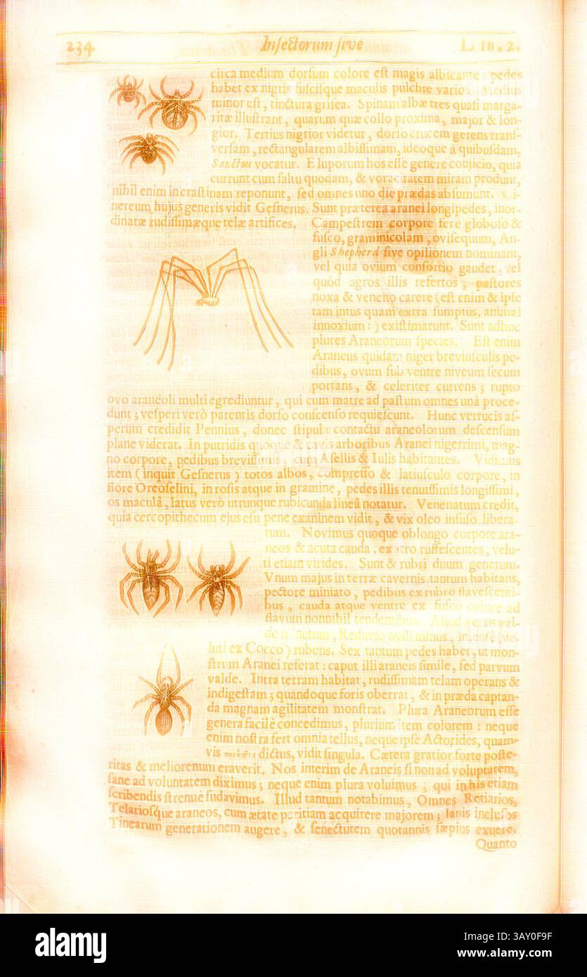 An array of intricate spider illustrations accompanied by Latin text ...