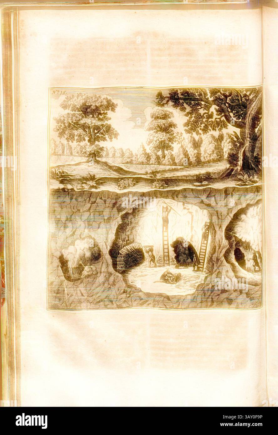 An illustrated scene depicting a natural landscape above ground ...