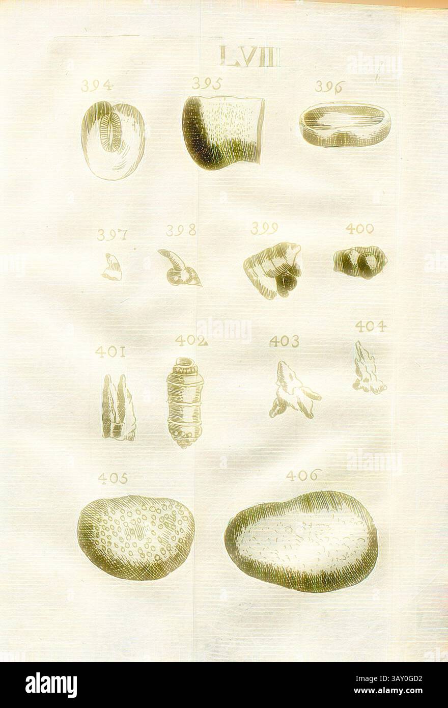 A collection of various organic shapes and forms, each numbered and ...