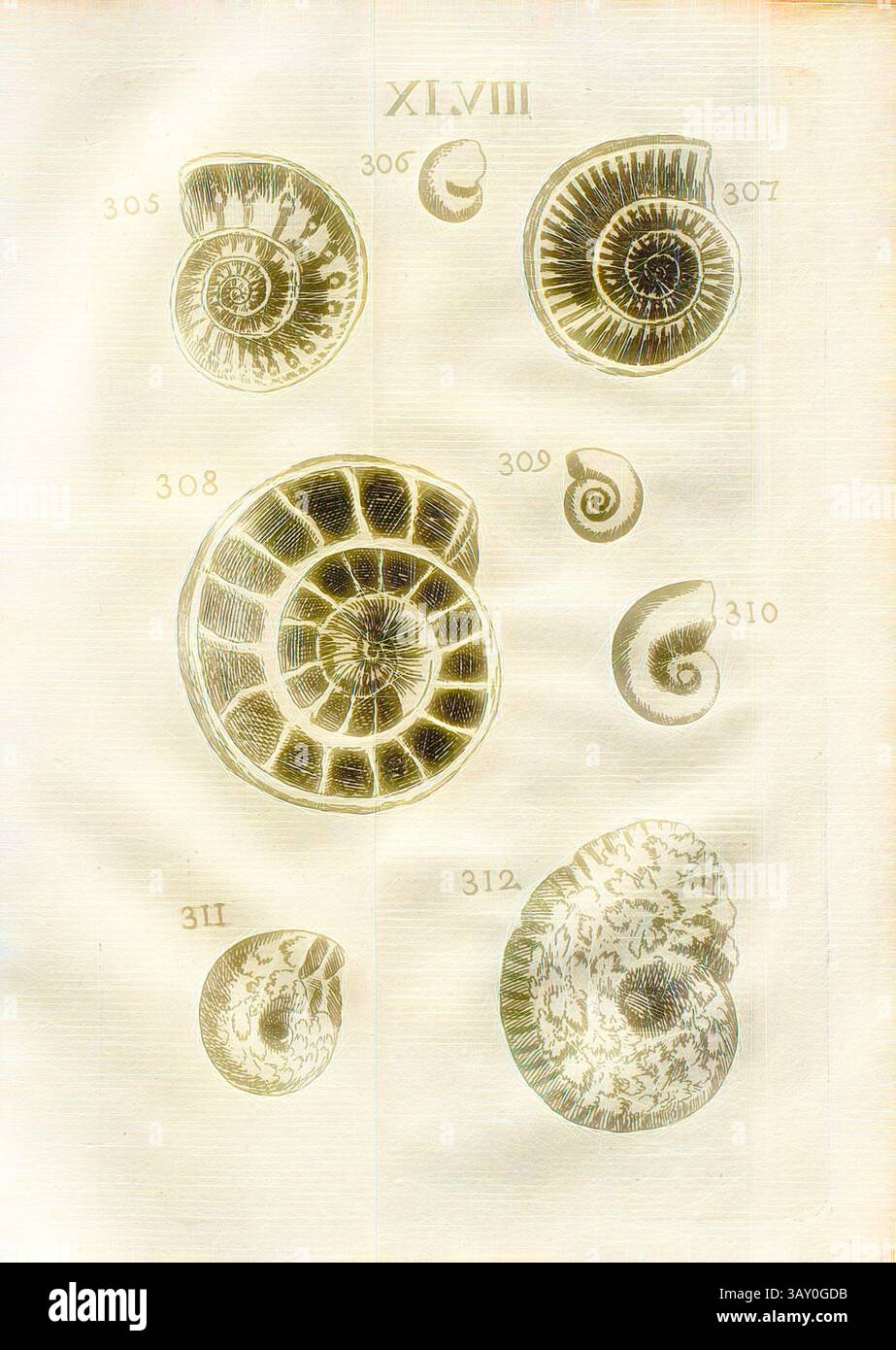 Empreinte simple hi-res stock photography and images - Alamy