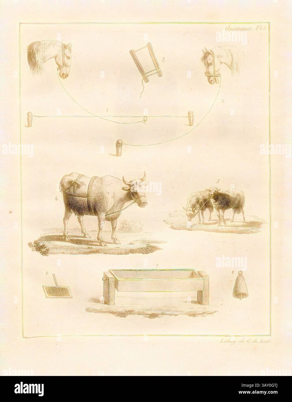 An illustration detailing various farming equipment and techniques ...
