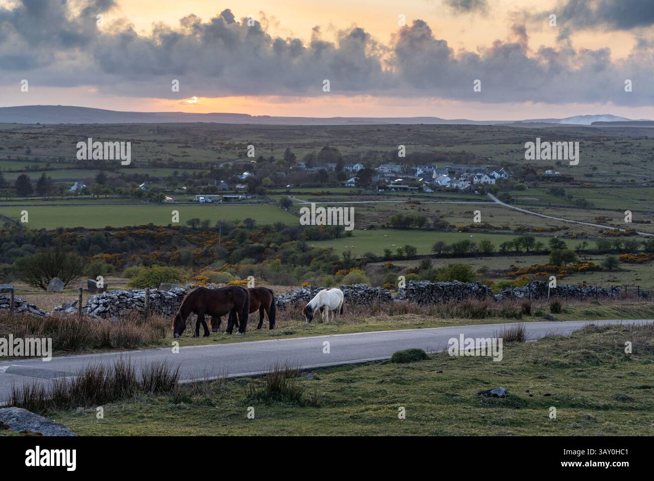 Horses at sundown on bodmin moor more Stock Photo - Alamy