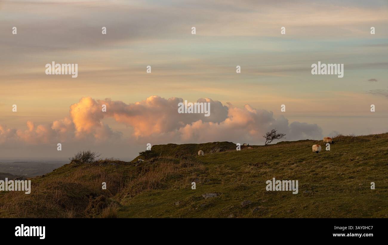 Dusk on top of Caradon Hill Bodmin Moor Stock Photo - Alamy