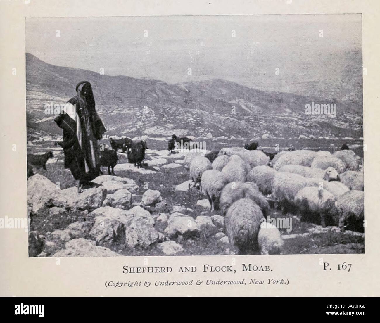 Shepherd and flock, Moab from Orientalisms in Bible Lands by EDWIN ...