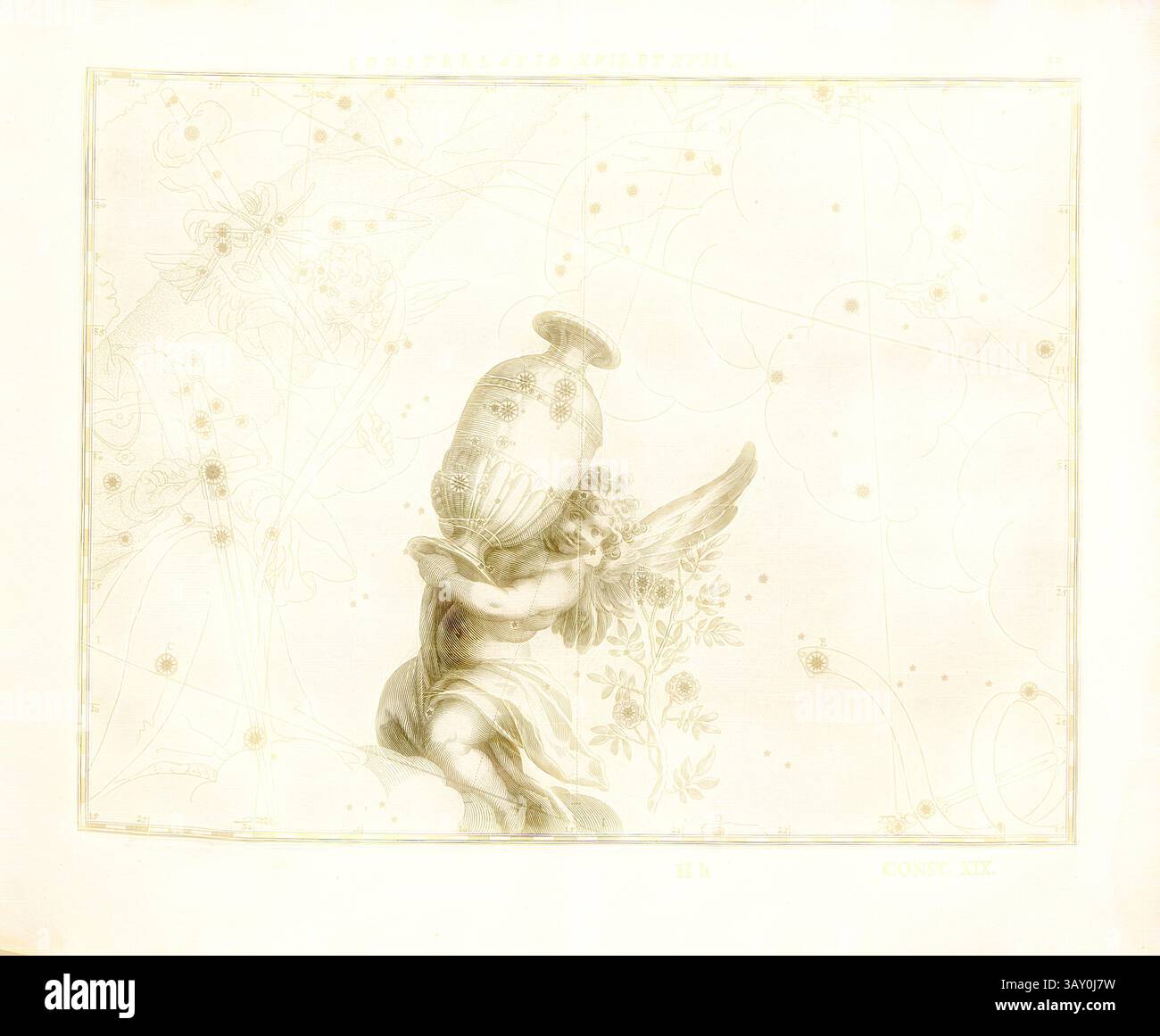 Delphinus constellation hi-res stock photography and images - Alamy