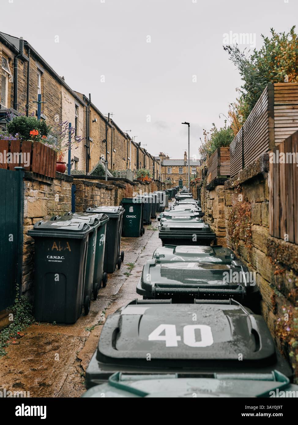 Bin Day - Domestic household waste and recycling plastic bins in ...