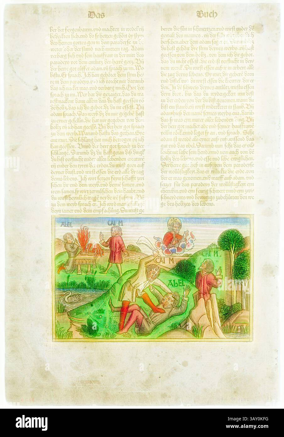 14 8 10 1 cm Cut Out Stock Images & Pictures - Alamy