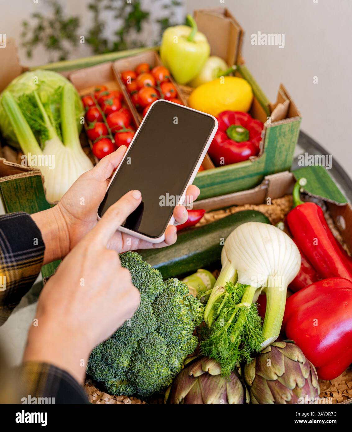 Person ordering organic farm vegetables delivery using smartphone. Farm ...