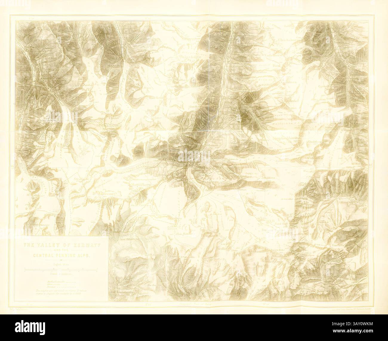 A detailed topographical map depicting the intricate contours and ...
