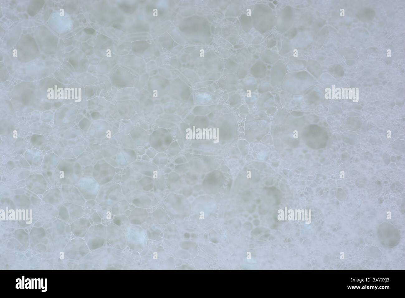 Bubbly soap foam background. Soap foam closeup. White foam backdrop ...
