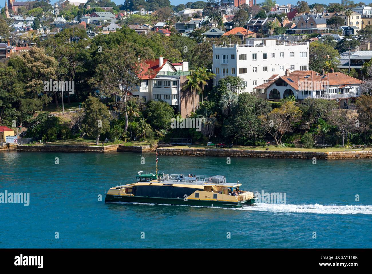 The River-class ferry, Olive Cotton, named after the famous Australian ...