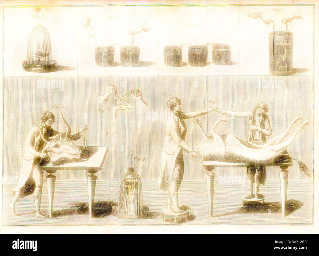 A series of detailed illustrations depict various scientific ...