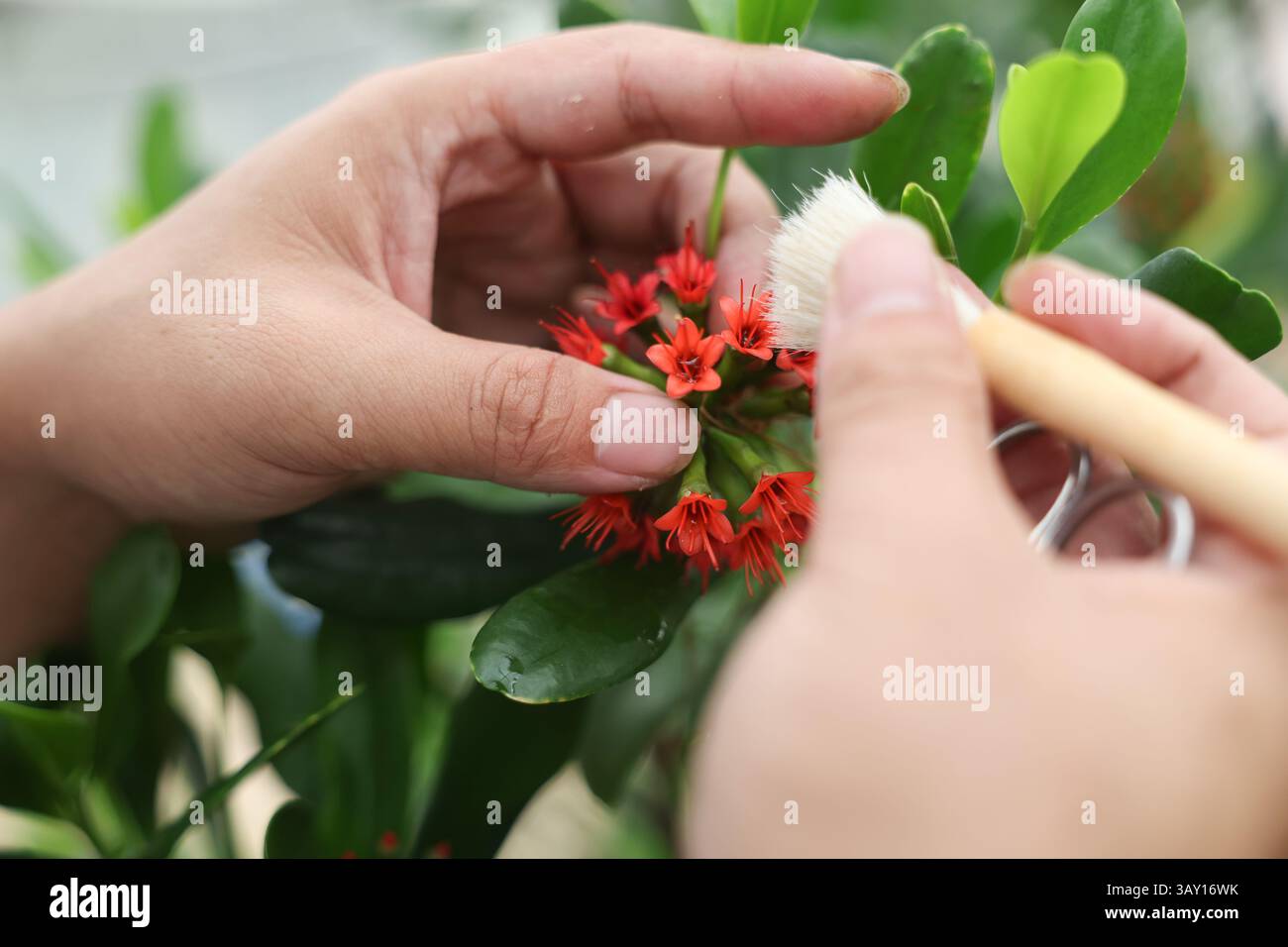 (250422) -- SANYA, April 22, 2025 (Xinhua) -- Wang Bingyu, a researcher ...